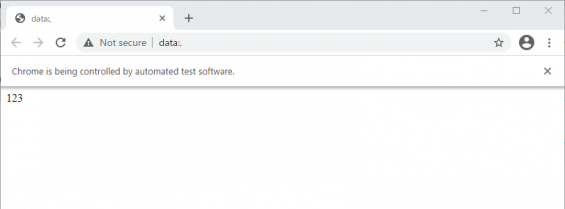 SeleniumでJavaScriptを実行した場合の変数のスコープ | Seleniumワールド